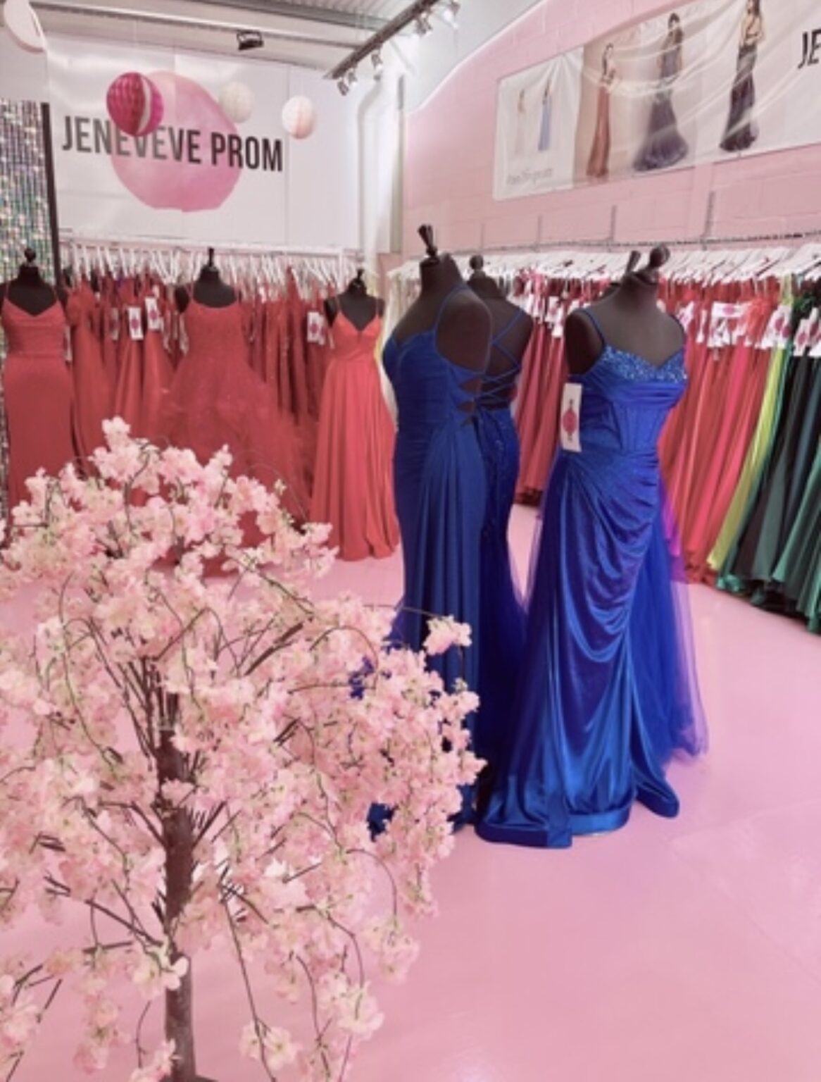 OUR PROM SUPERSTORE - Jeneveve Colchester